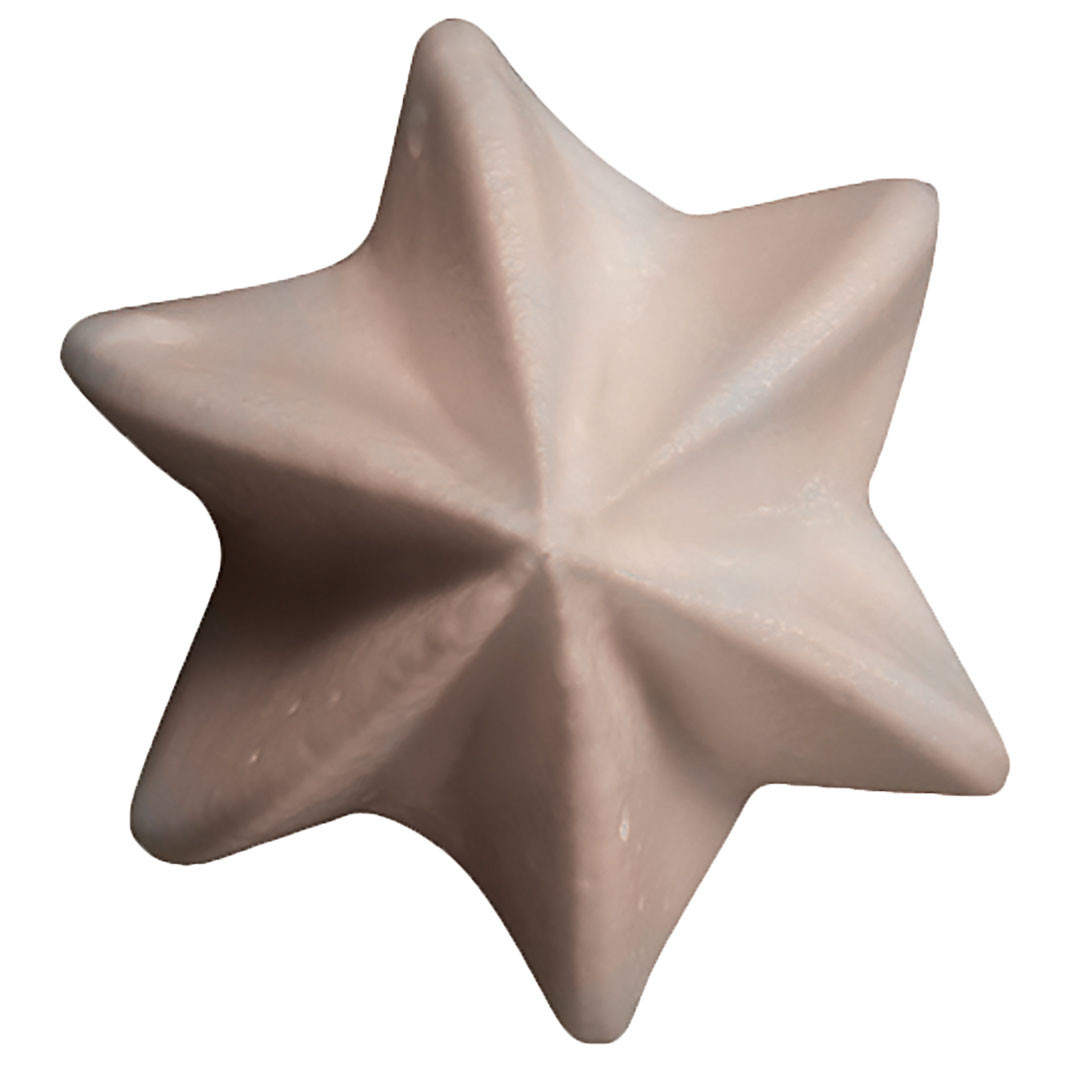 Stainless steel star nozzle E6 - 6 teeth Ø13mm - de Buyer